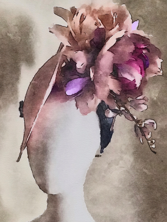 Home - Thoroughly Modern Millinery